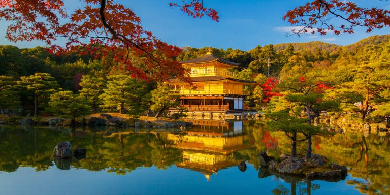 Tanuki - Matteoingiappone