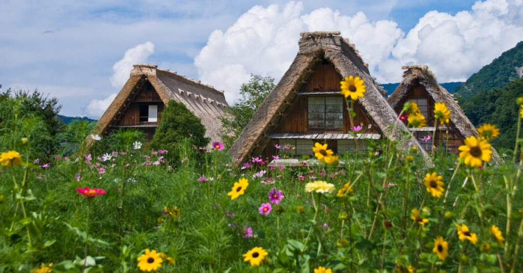 Dango - Matteoingiappone