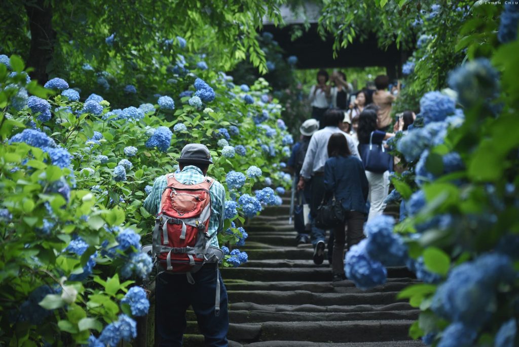 Tempio Meigetsuin - Matteoingiappone