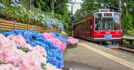 Hakone Tozan Line - Matteoingiappone