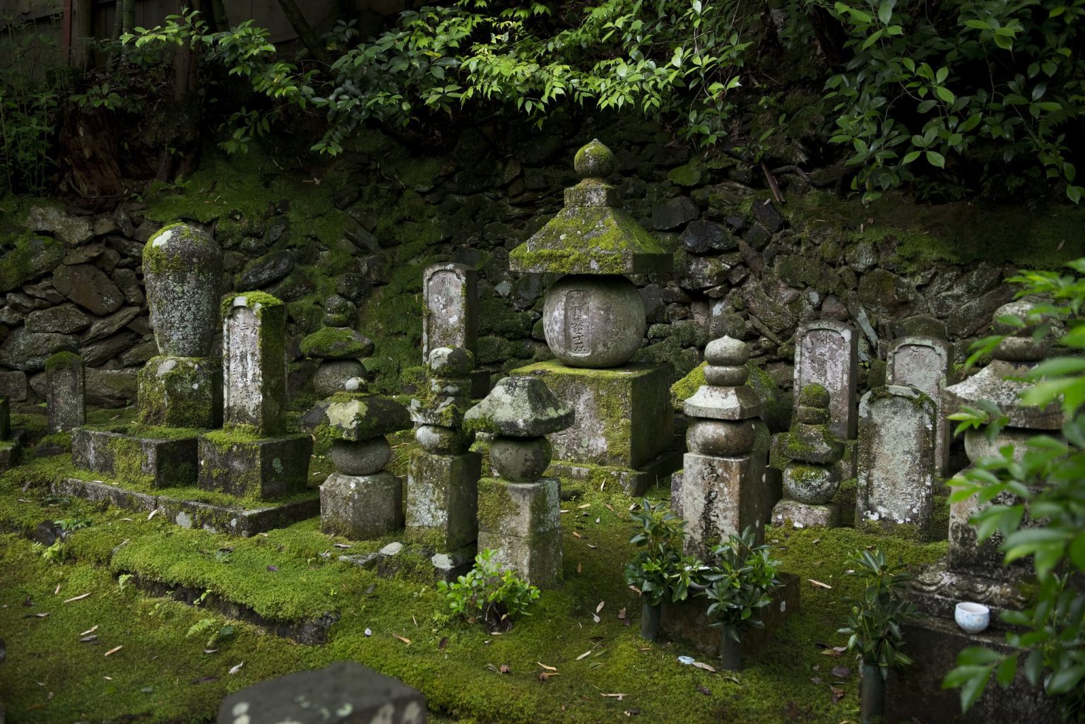 Tempio Gio-ji - Matteoingiappone