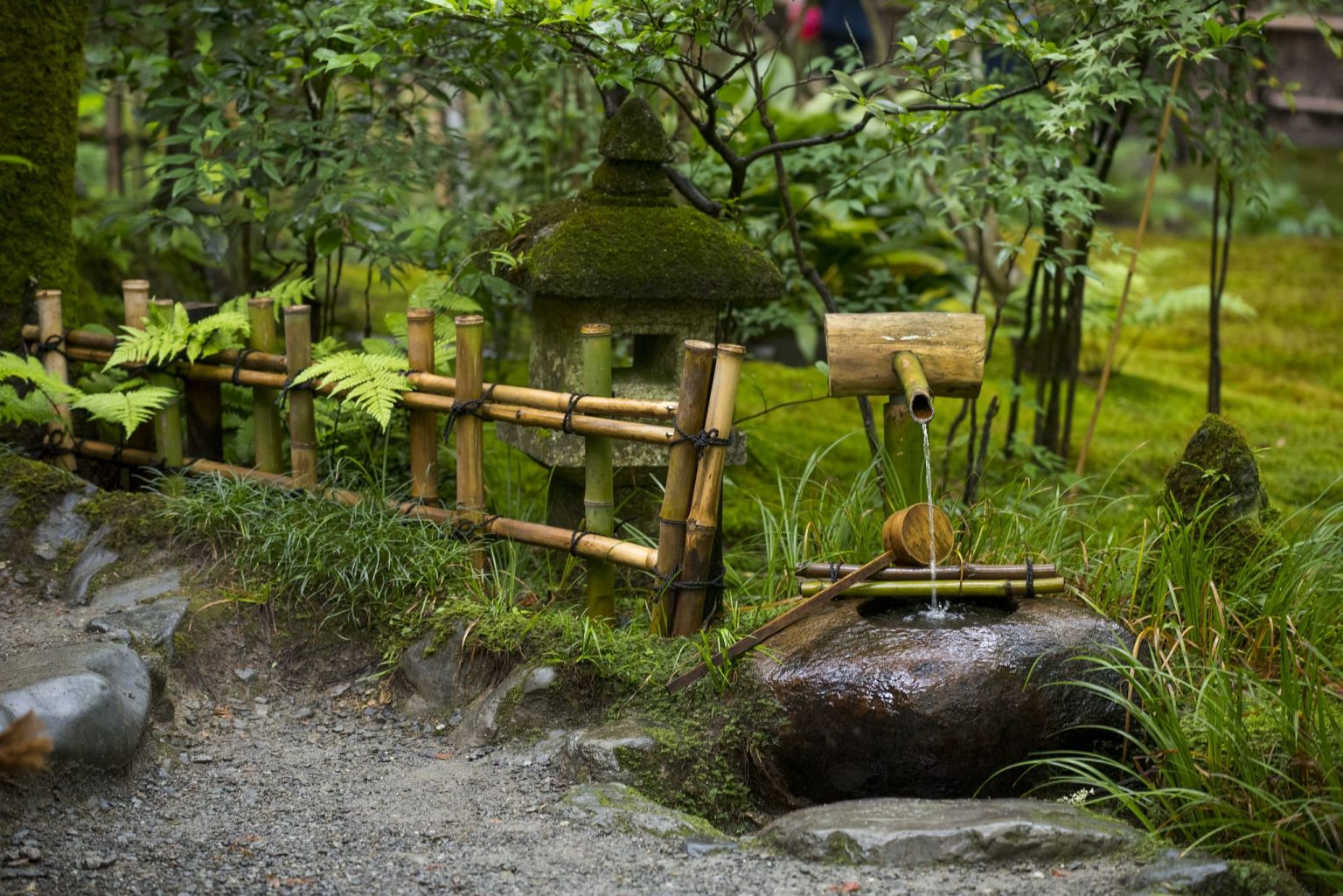 Tempio Gio-ji - Matteoingiappone