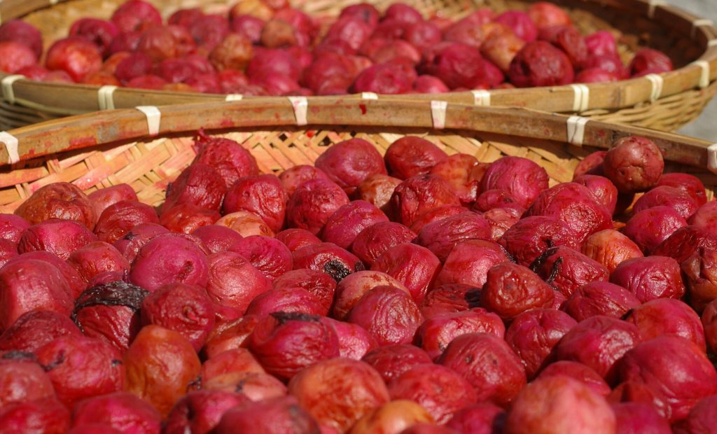 Umeboshi - Matteoingiappone